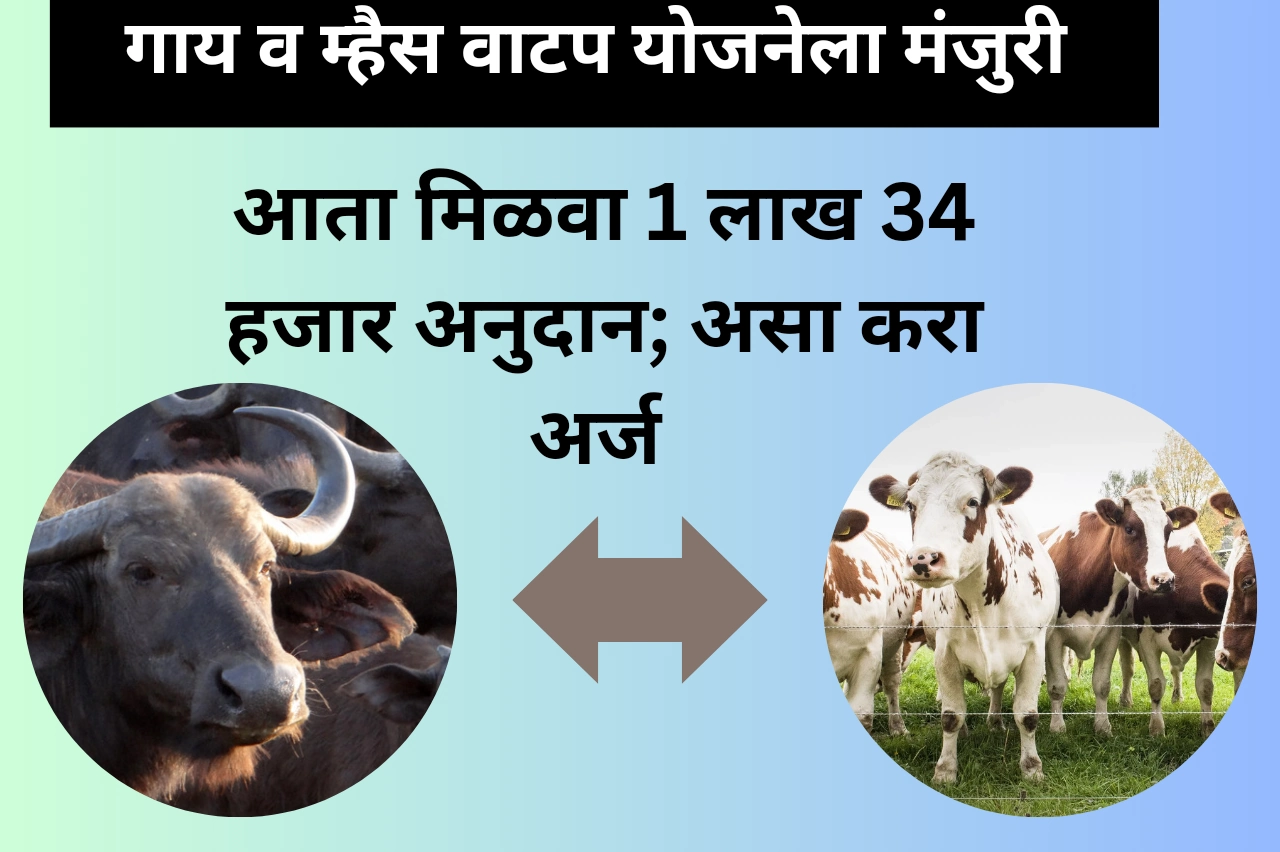 Gay Mhais Watap Yojana: गाय व म्हैस वाटप योजनेला मंजुरी, आता मिळवा 1 ...