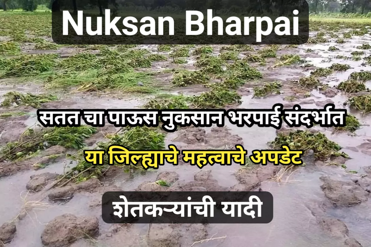 Nuksan Bharpai: सतत चा पाऊस नुकसान भरपाई संदर्भात या जिल्ह्याचे ...